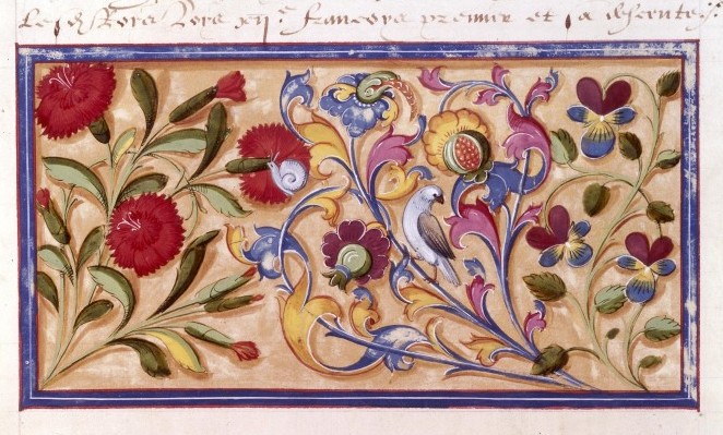 Enluminure Loire-atlantique | D'Acanthes et d'Ancolies