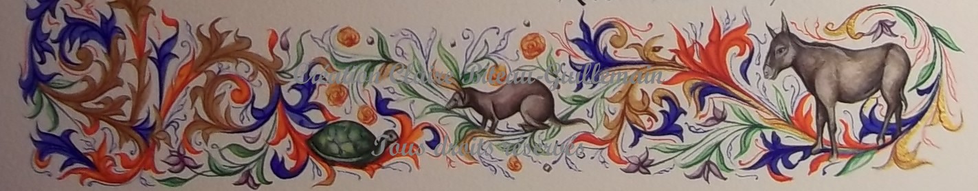 Enluminures Sur Les Animaux | D'Acanthes et d'Ancolies